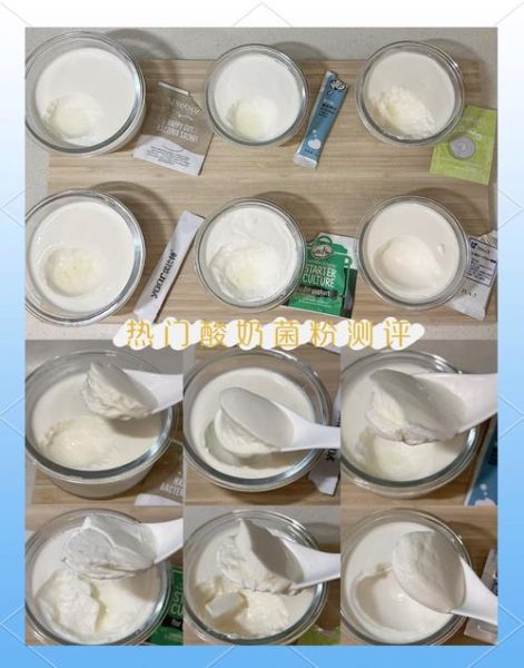 家用酸奶发酵菌哪个牌子好_家用酸奶发酵菌怎么选-第2张图片-山城妙识