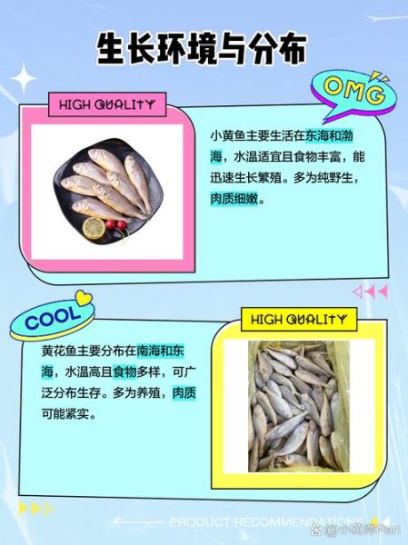 小黄花鱼图片_如何分辨新鲜小黄花鱼-第2张图片-山城妙识 小黄花鱼图片_如何分辨新鲜小黄花鱼-第2张图片-山城妙识