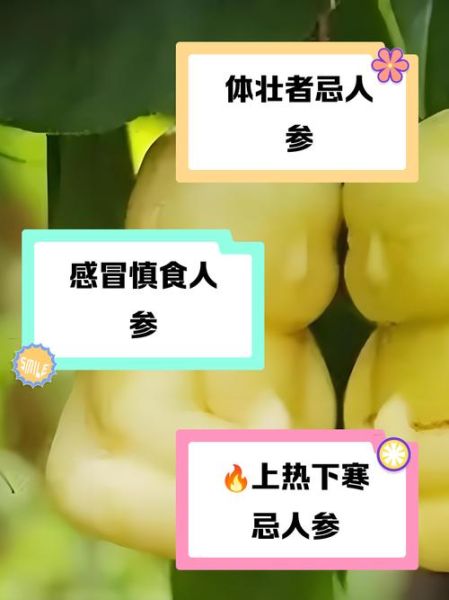 人参果哪些人不能吃_人参果禁忌人群有哪些-第2张图片-山城妙识 人参果哪些人不能吃_人参果禁忌人群有哪些-第2张图片-山城妙识