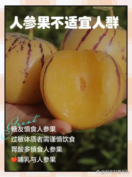 人参果哪些人不能吃_人参果禁忌人群有哪些-第3张图片-山城妙识 人参果哪些人不能吃_人参果禁忌人群有哪些-第3张图片-山城妙识