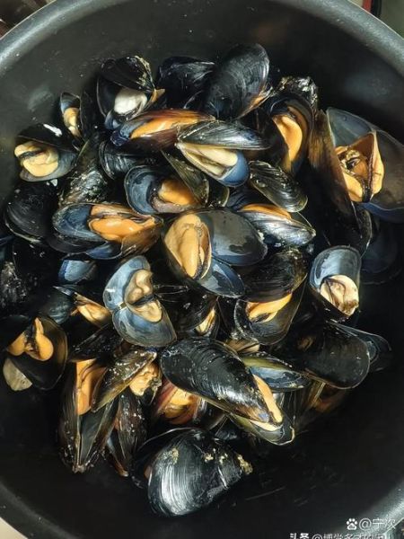 海虹煮多久能熟_海虹煮几分钟口感最好-第2张图片-山城妙识