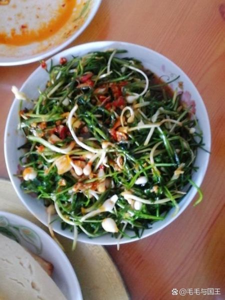 野葱怎么做好吃_野葱的做法大全-第1张图片-山城妙识