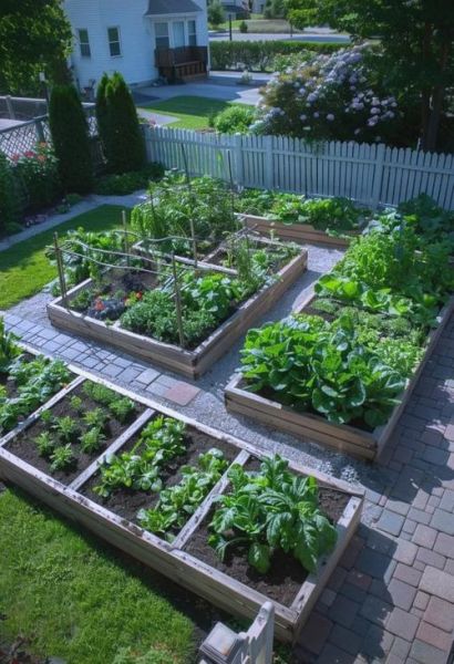 菜圃是什么_菜圃和菜园的区别-第2张图片-山城妙识