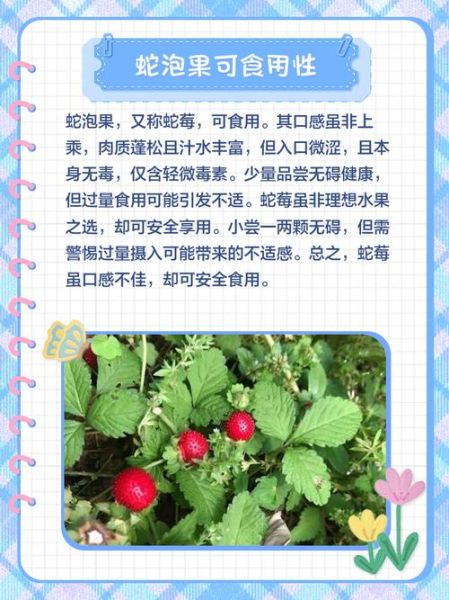 蛇果的功效与作用_蛇果能减肥吗-第1张图片-山城妙识