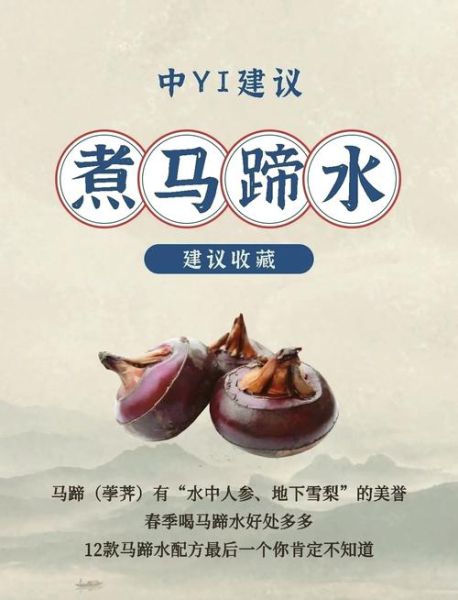 马蹄怎么吃_马蹄的食用方法-第2张图片-山城妙识