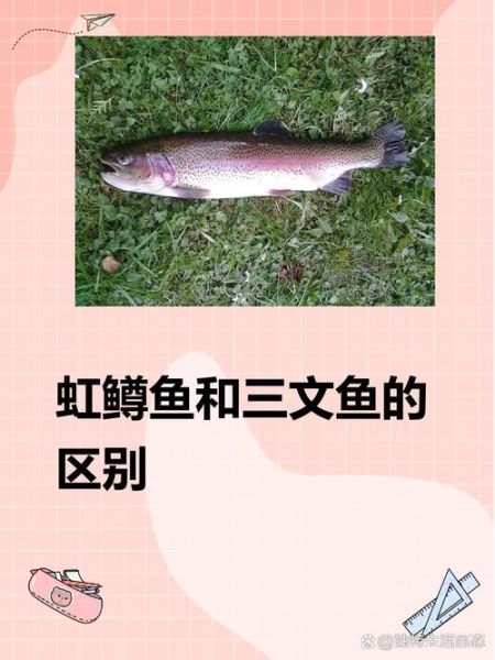 虹鳟鱼和三文鱼的区别_虹鳟鱼能生吃吗-第2张图片-山城妙识