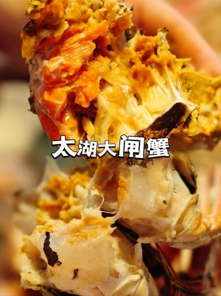 太湖蟹怎么保存最好_太湖蟹能放几天-第3张图片-山城妙识 太湖蟹怎么保存最好_太湖蟹能放几天-第3张图片-山城妙识