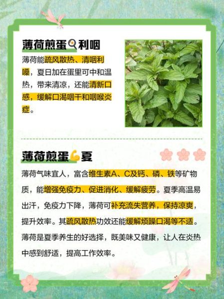 薄荷减肥有效吗_薄荷减肥食谱怎么做-第1张图片-山城妙识