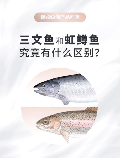 虹鳟鱼和三文鱼的区别_虹鳟鱼能生吃吗-第3张图片-山城妙识