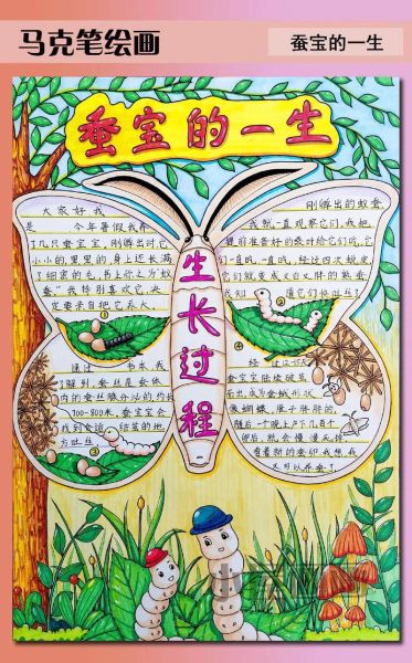 蚕的生长过程视频_蚕宝宝几天能结茧-第1张图片-山城妙识 蚕的生长过程视频_蚕宝宝几天能结茧-第1张图片-山城妙识