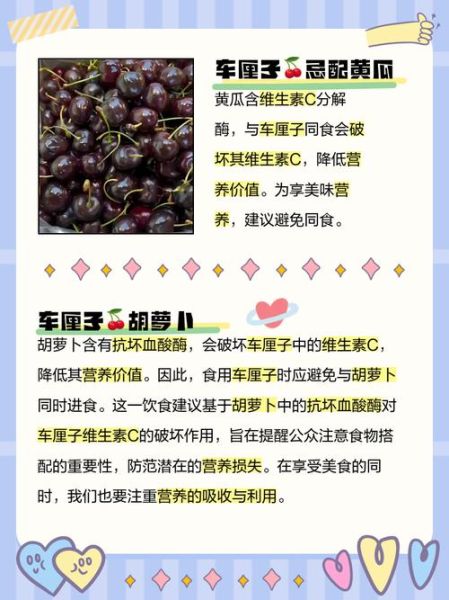 车厘子不能和什么一起吃_车厘子相克食物有哪些-第1张图片-山城妙识