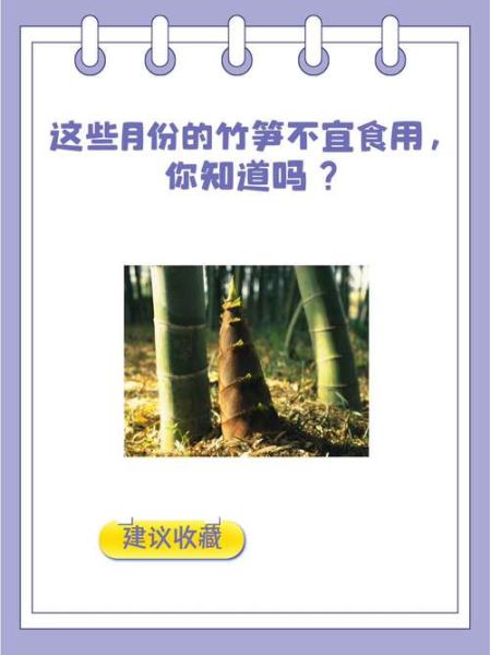 竹笋的营养价值及功效与禁忌_什么人不能吃竹笋-第1张图片-山城妙识