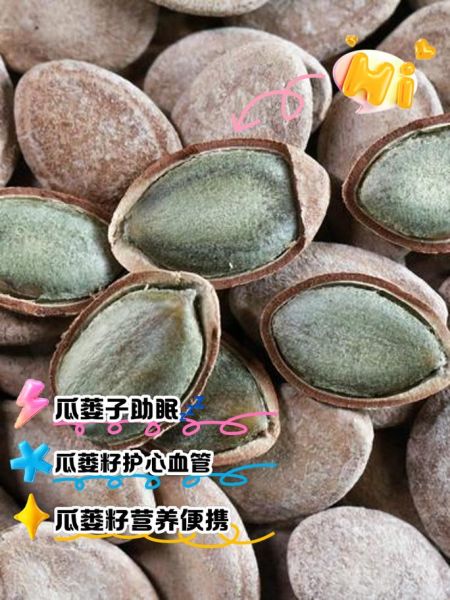 瓜蒌子可以当零食吃吗_瓜蒌子每天吃多少合适-第1张图片-山城妙识 瓜蒌子可以当零食吃吗_瓜蒌子每天吃多少合适-第1张图片-山城妙识