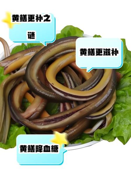 黄鳝和泥鳅哪个更营养_区别到底在哪-第3张图片-山城妙识 黄鳝和泥鳅哪个更营养_区别到底在哪-第3张图片-山城妙识