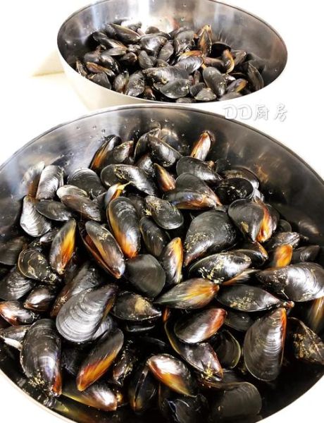 清蒸海虹怎么做好吃_清蒸海虹需要蒸几分钟-第2张图片-山城妙识 清蒸海虹怎么做好吃_清蒸海虹需要蒸几分钟-第2张图片-山城妙识