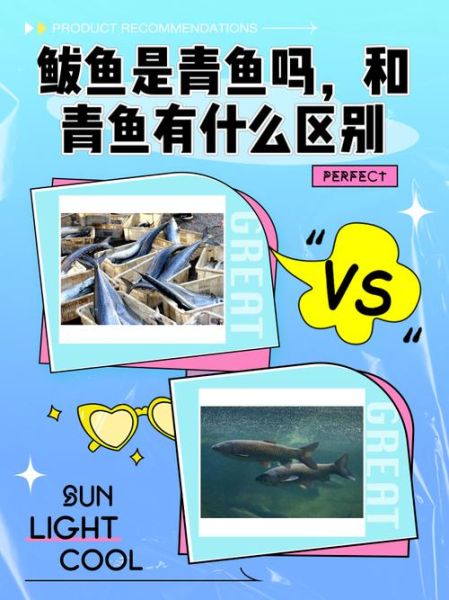 乌鸡鲅鱼啥意思_网络用语来源-第1张图片-山城妙识 乌鸡鲅鱼啥意思_网络用语来源-第1张图片-山城妙识