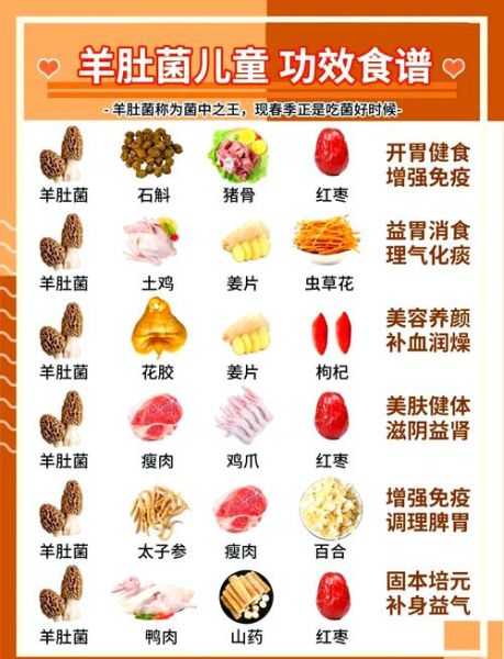 羊肚菌的功效与作用_羊肚菌煲汤怎么做好吃-第2张图片-山城妙识 羊肚菌的功效与作用_羊肚菌煲汤怎么做好吃-第2张图片-山城妙识