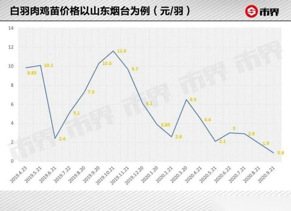 鸡肉价格走势_今日鸡肉多少钱一斤-第1张图片-山城妙识