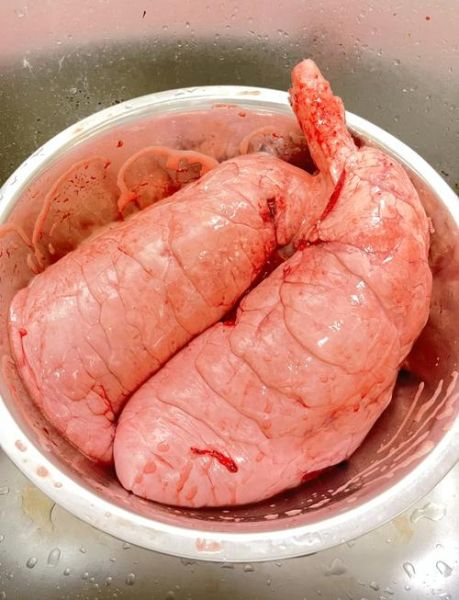 猪肺怎么清洗_猪肺汤怎么煲才白-第1张图片-山城妙识