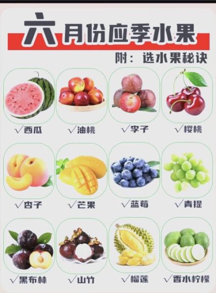 营养价值最高的水果有哪些_如何挑选-第1张图片-山城妙识 营养价值最高的水果有哪些_如何挑选-第1张图片-山城妙识