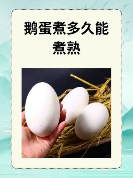 鹅蛋煮多久最佳_鹅蛋煮多久能熟-第1张图片-山城妙识 鹅蛋煮多久最佳_鹅蛋煮多久能熟-第1张图片-山城妙识