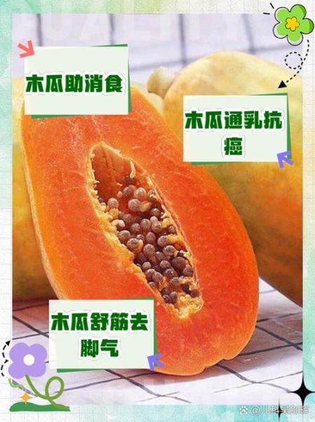 药木瓜的功效与作用是什么_药木瓜和木瓜区别-第3张图片-山城妙识 药木瓜的功效与作用是什么_药木瓜和木瓜区别-第3张图片-山城妙识