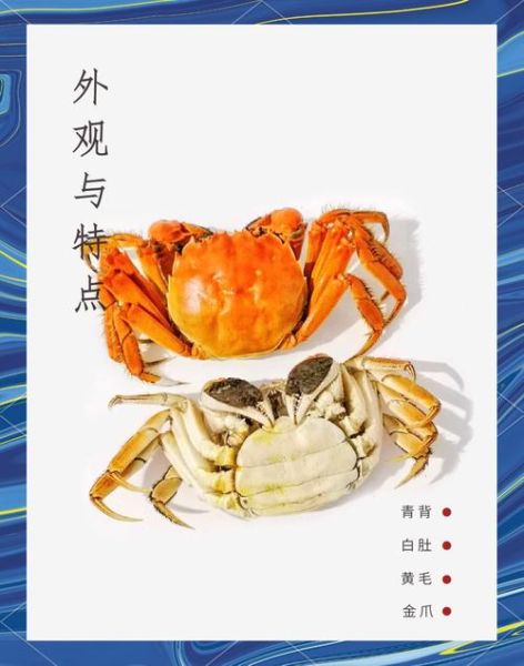 吃大闸蟹有什么好处_大闸蟹营养价值高吗-第3张图片-山城妙识 吃大闸蟹有什么好处_大闸蟹营养价值高吗-第3张图片-山城妙识