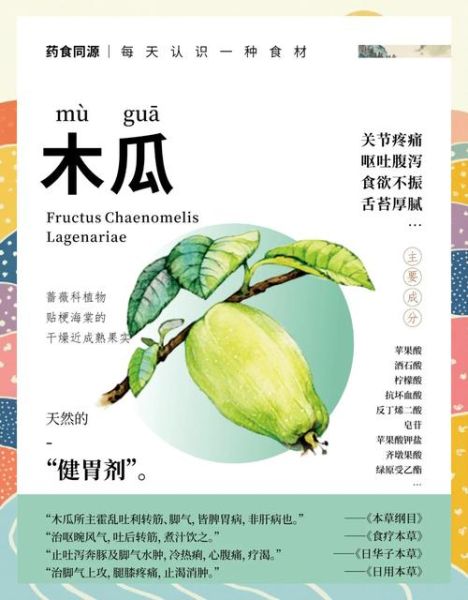 药木瓜的功效与作用是什么_药木瓜和木瓜区别-第1张图片-山城妙识 药木瓜的功效与作用是什么_药木瓜和木瓜区别-第1张图片-山城妙识