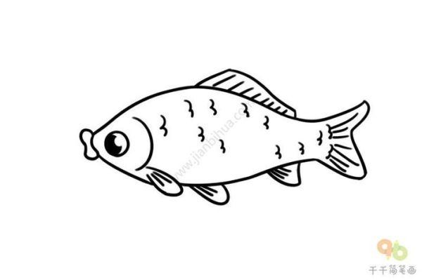 鲫鱼简笔画怎么画_鲫鱼图片简笔画教程-第1张图片-山城妙识 鲫鱼简笔画怎么画_鲫鱼图片简笔画教程-第1张图片-山城妙识
