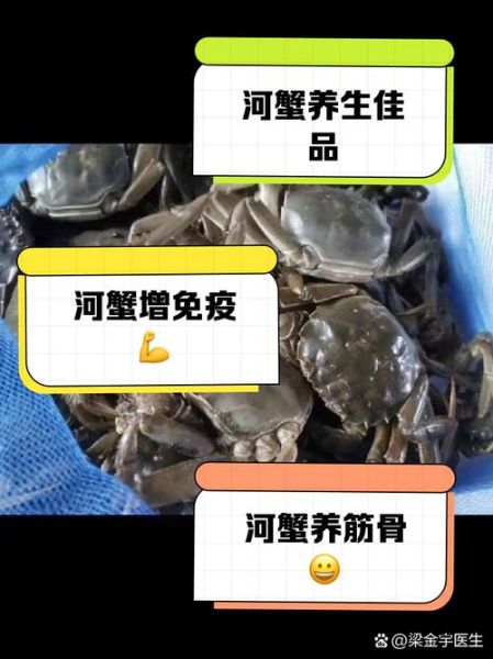 北方河蟹养殖技术_如何提高成活率-第2张图片-山城妙识 北方河蟹养殖技术_如何提高成活率-第2张图片-山城妙识