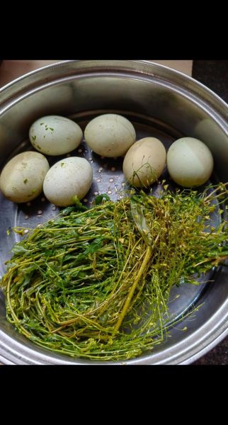 三月初三荠菜煮鸡蛋怎么做_荠菜煮鸡蛋的功效与禁忌-第3张图片-山城妙识