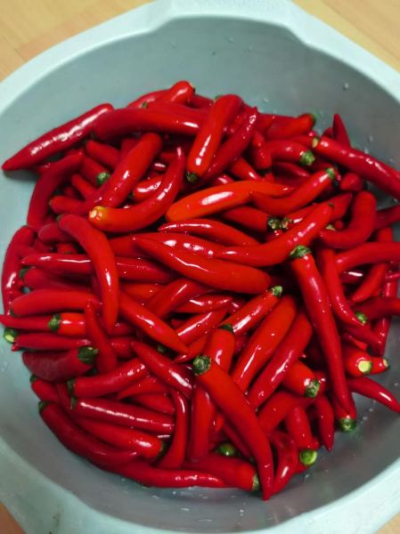 新鲜辣椒怎么做辣椒酱_自制辣椒酱保存多久-第3张图片-山城妙识 新鲜辣椒怎么做辣椒酱_自制辣椒酱保存多久-第3张图片-山城妙识