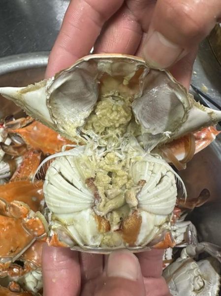 螃蟹水开后蒸多长时间_清蒸大闸蟹几分钟-第3张图片-山城妙识