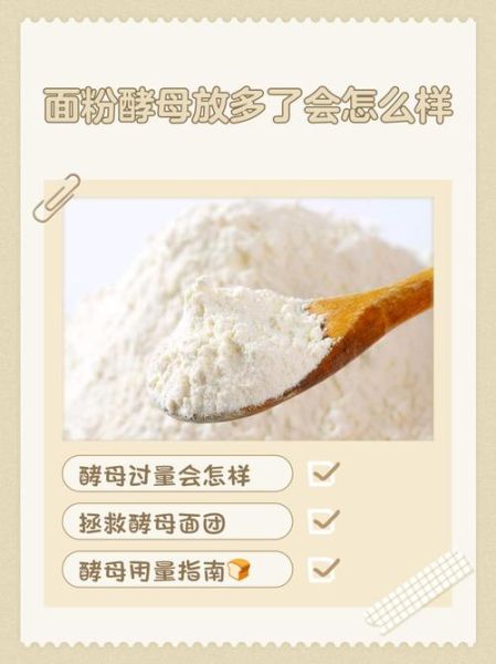 酵母粉发面多长时间_酵母粉发面失败原因-第2张图片-山城妙识 酵母粉发面多长时间_酵母粉发面失败原因-第2张图片-山城妙识