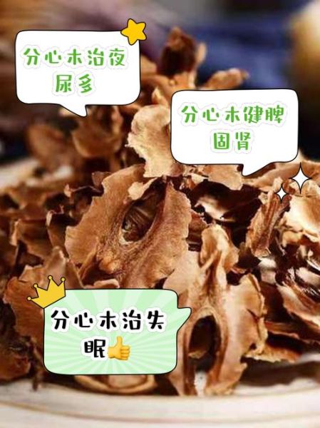 分心木泡水喝的功效和禁忌_哪些人不能喝-第1张图片-山城妙识