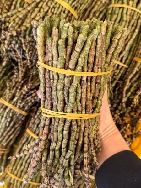 野生铁皮石斛多少钱一斤_正宗产地价格行情-第1张图片-山城妙识