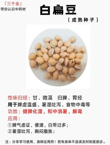 红扁豆和白扁豆的区别_哪个营养价值更高-第1张图片-山城妙识 红扁豆和白扁豆的区别_哪个营养价值更高-第1张图片-山城妙识