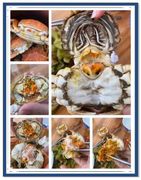 阳澄湖大闸蟹做法视频_清蒸大闸蟹步骤-第3张图片-山城妙识