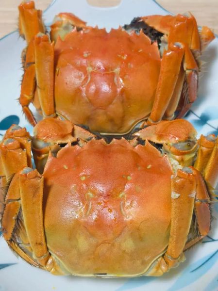 阳澄湖大闸蟹做法视频_清蒸大闸蟹步骤-第2张图片-山城妙识