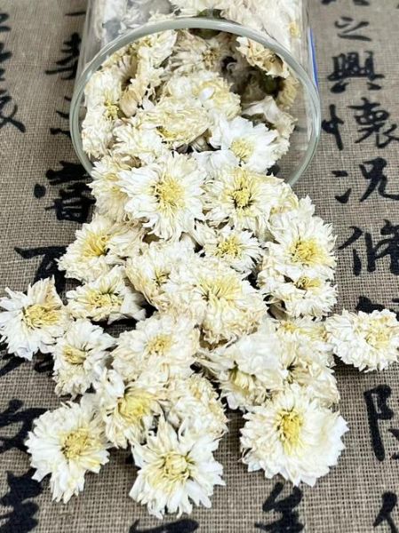菊花茶有几种_菊花茶分类大全-第3张图片-山城妙识