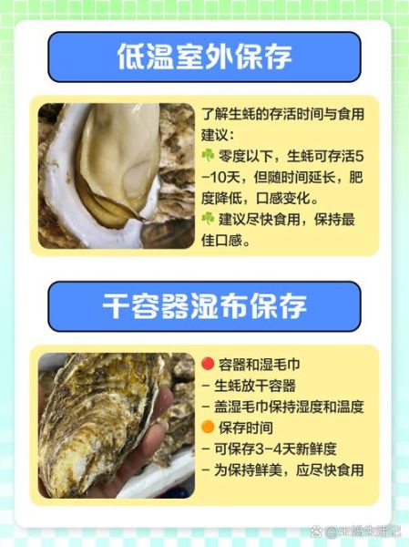 生蚝怎么保存_生蚝可以放多久-第1张图片-山城妙识 生蚝怎么保存_生蚝可以放多久-第1张图片-山城妙识