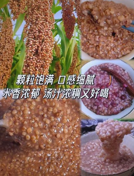 高粱米怎么煮_高粱米煮多久才软-第3张图片-山城妙识