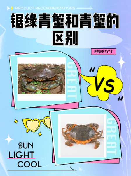 锯缘青蟹多少钱一斤_锯缘青蟹怎么挑选-第1张图片-山城妙识