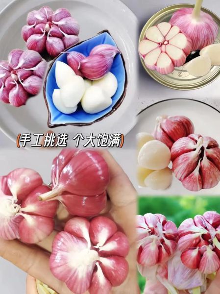 金乡大蒜价格今日多少钱一斤_金乡大蒜最新行情-第1张图片-山城妙识