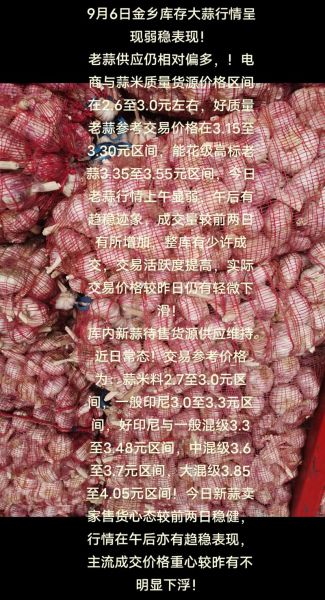 金乡大蒜价格今日多少钱一斤_金乡大蒜最新行情-第3张图片-山城妙识