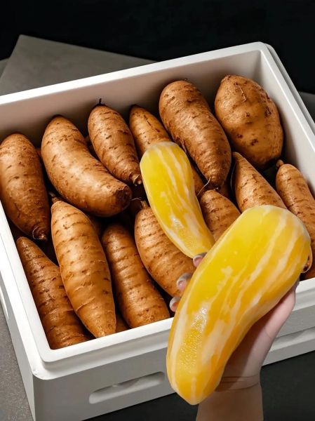 天山雪莲果怎么吃_天山雪莲果的正确吃法-第1张图片-山城妙识