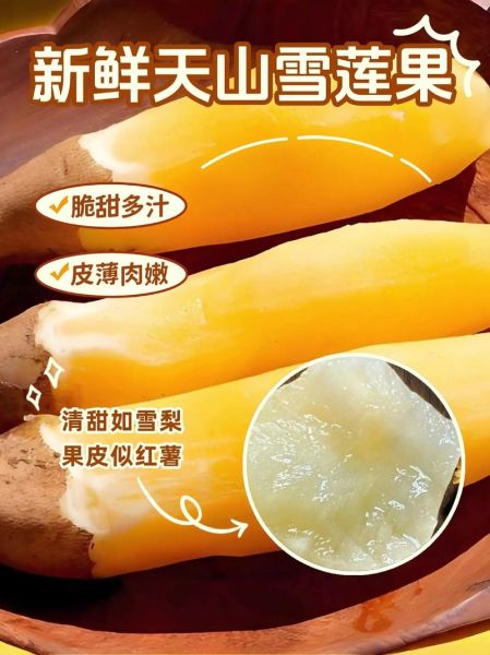 天山雪莲果怎么吃_天山雪莲果的正确吃法-第3张图片-山城妙识