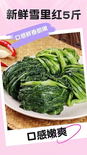 新鲜的雪里红有毒吗_如何安全食用-第2张图片-山城妙识