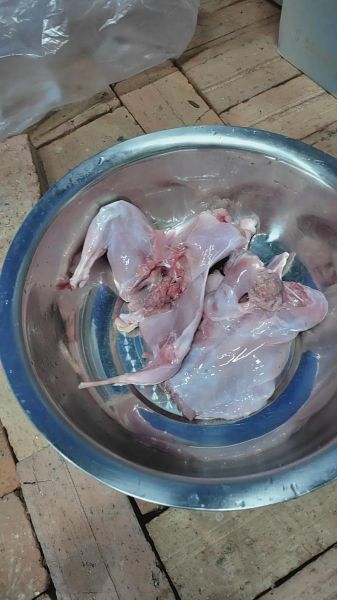 新鲜兔子肉怎么做好吃_家常做法大全-第3张图片-山城妙识