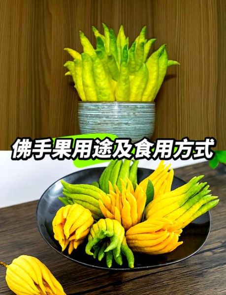 佛手怎么吃_佛手果食用方法-第2张图片-山城妙识 佛手怎么吃_佛手果食用方法-第2张图片-山城妙识